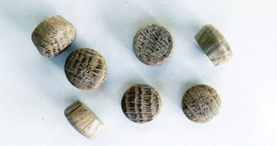 Oak Round Head wood Plugs with Tapered Sides (1/2" Diameter) - Per Bag ...